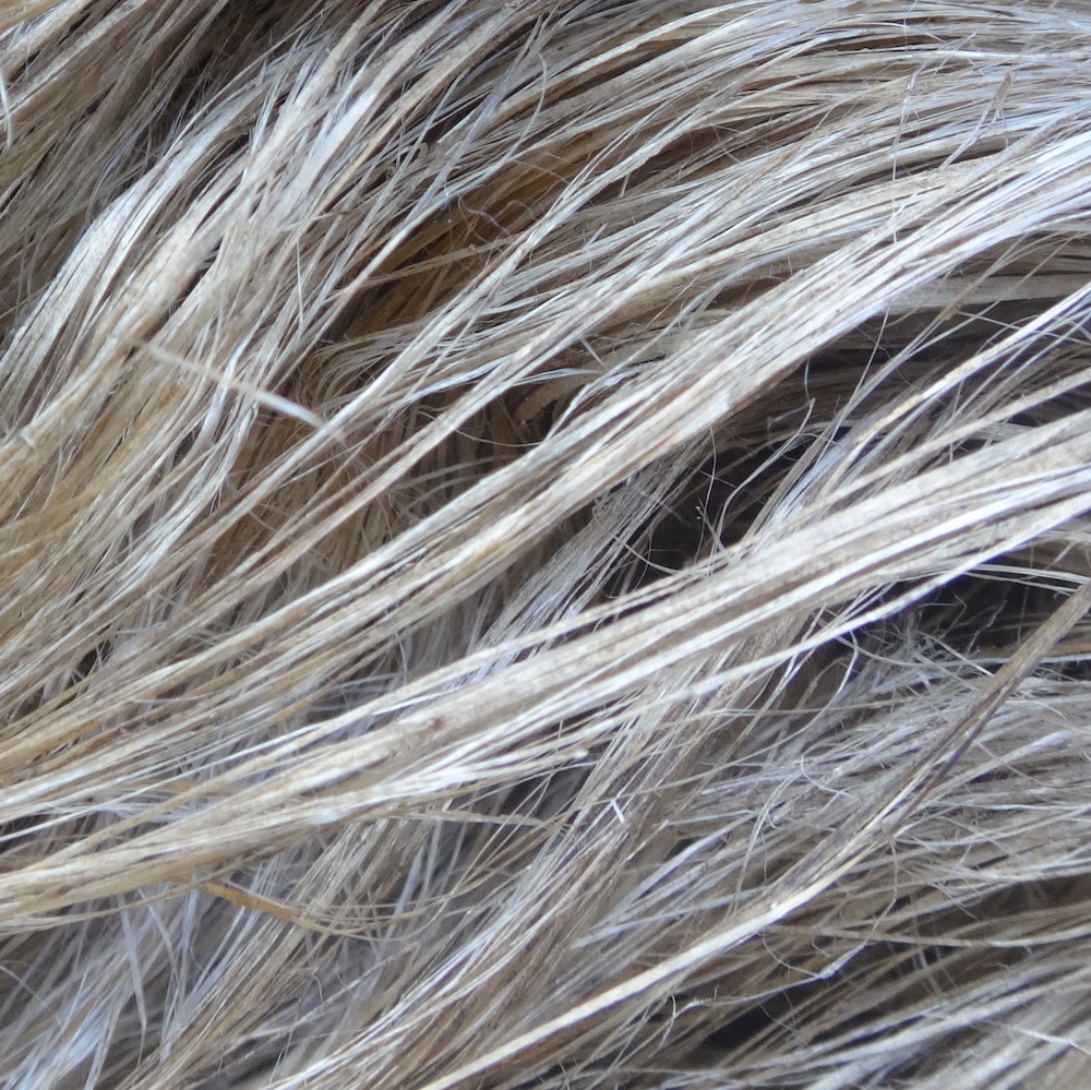 Le lin, une matière naturelle et écologique